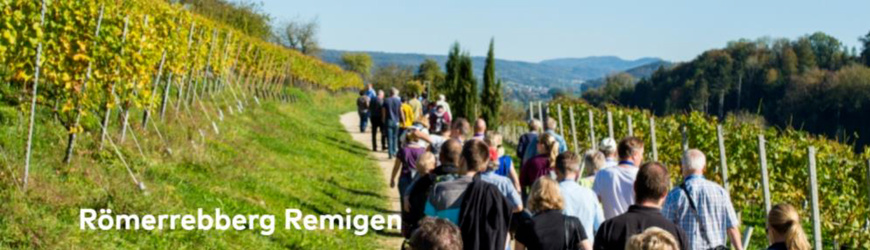Rebberg & Keller : Weinbau Hartmann
